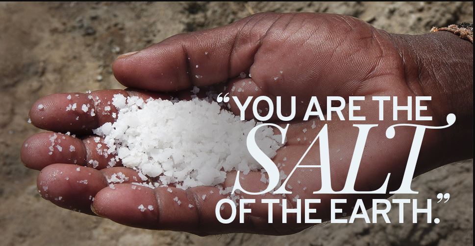 Remember You Are Salt! – Dane A. Miller's Blog